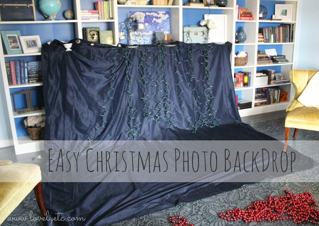 Diy Christmas Backdrops