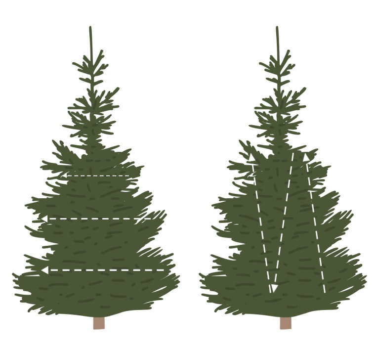 How to Decorate a Christmas Tree: 10 Tips for a Beautiful Tree