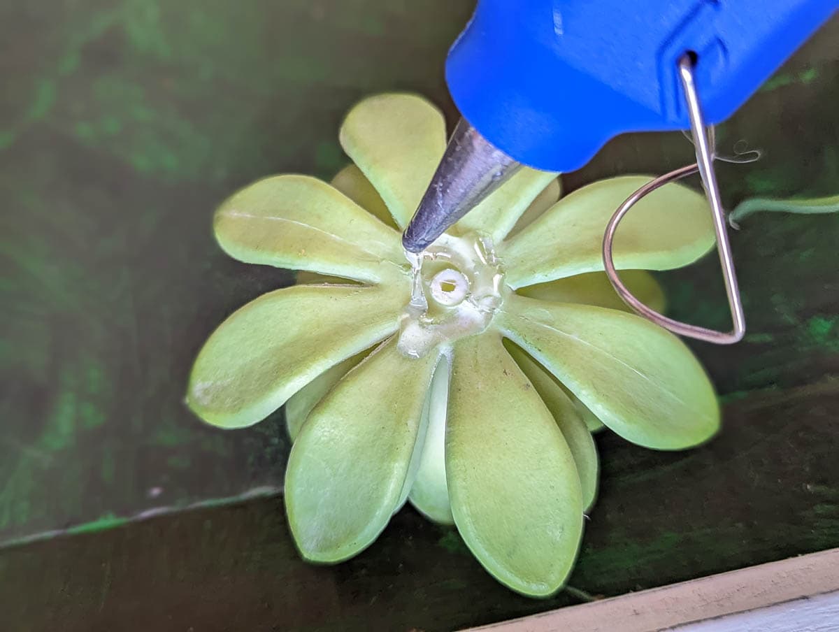 How to Make Beautiful DIY Succulent Wall Art